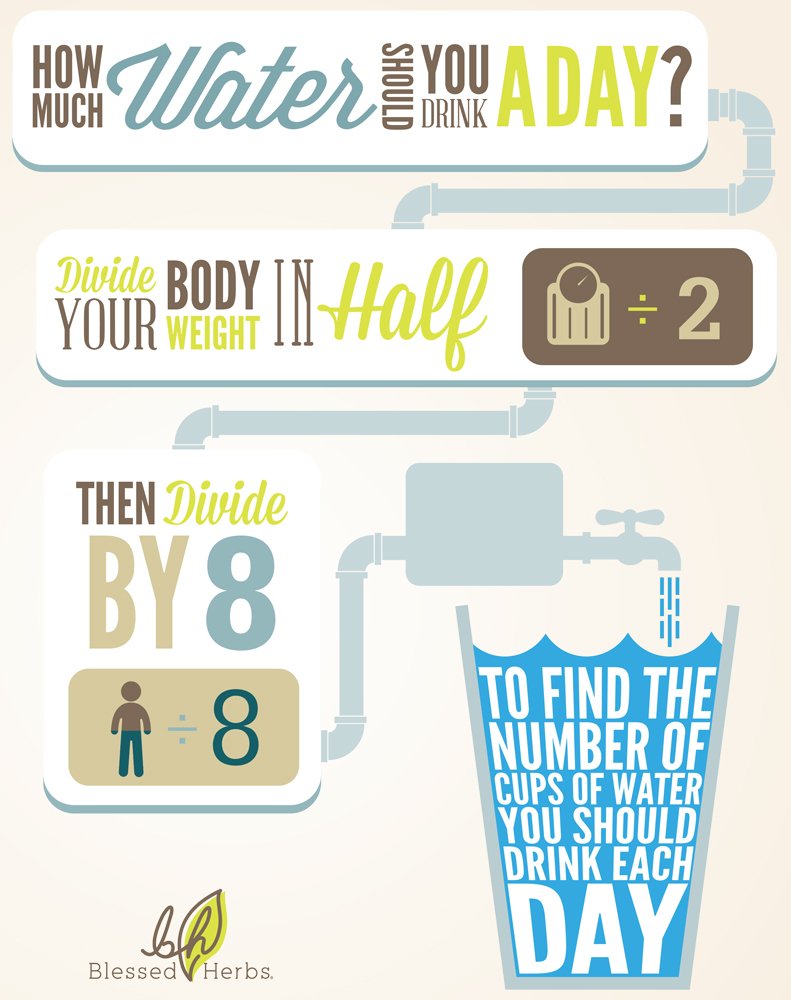 Wondering Just How Much Water Should You Drink A Day 